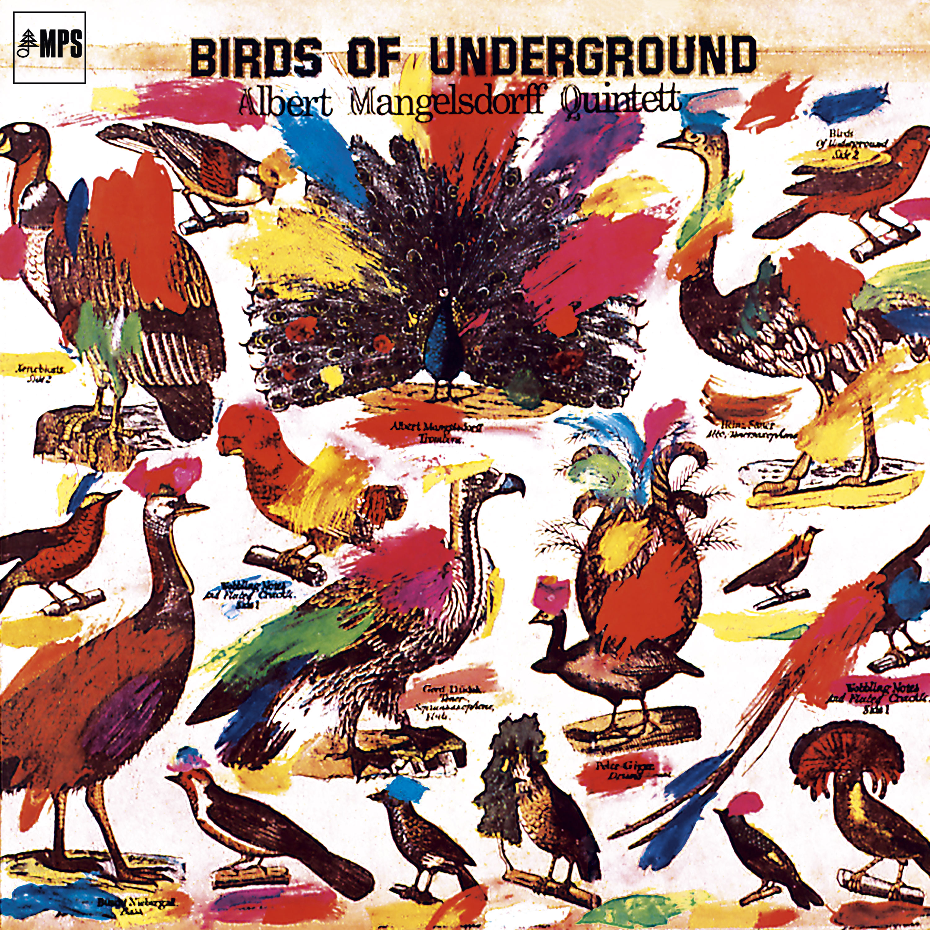 Birds of Underground - MPS : MPS